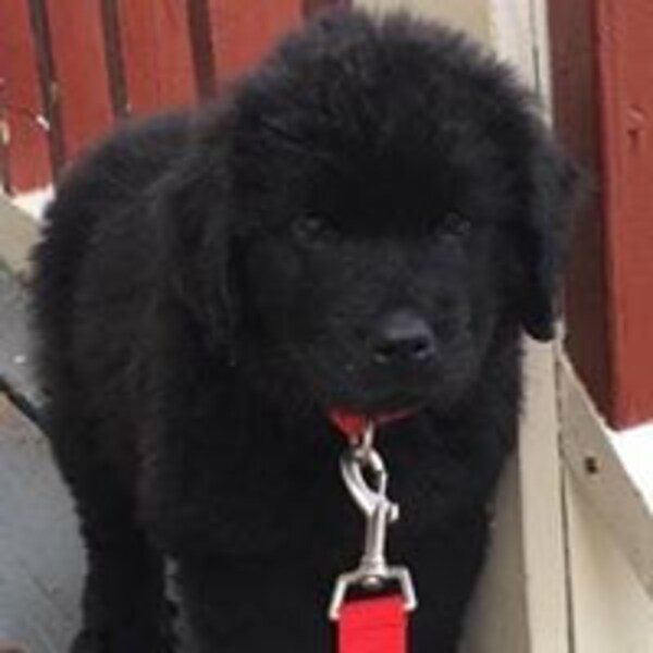 Crystal Kit for Empaths Crystals for Love & Protection Crystal Healing ...