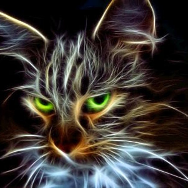 Four Frogs Super Cool Counted Cross Stitch Pattern Digital Pdf - Etsy