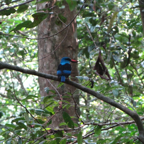 Sterling Silver Hoop Earrings Stacking, Stacking Earrings, Hoop ...