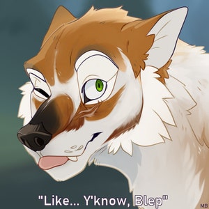 Pocket Osteomancy: A Simple Bone Divination Set Paperback Book, Casting ...