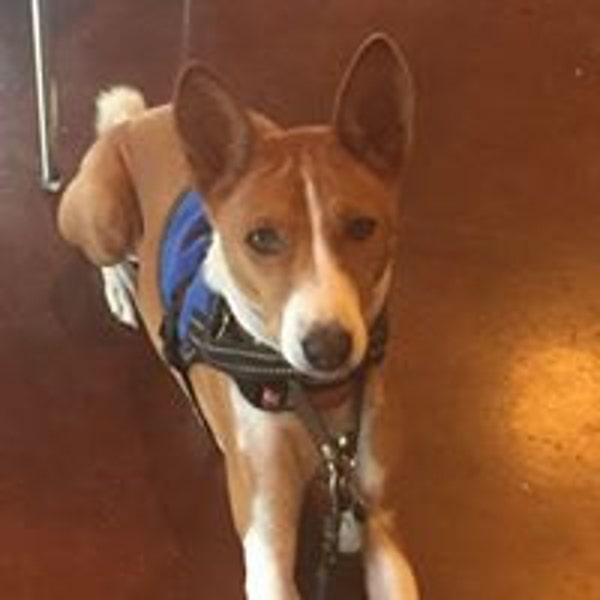 Mid Century Modern Christmas Ornament pink Yuletide Design Holiday ...