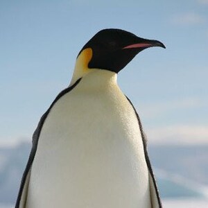 Steampunk Collage Spiral Notebook, Magpie, Scientist Notes, Poetry ...