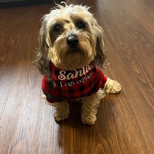 Womens AKA Hand Sign Words Includes Eps, Svg & Png. AKA Digital ...