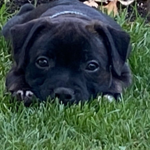 Cute Ghost Kiss-cut Vinyl Decals - Etsy