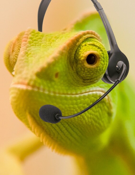 ClownLizardGraphics - Etsy