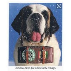 State of Arizona Cookie Cutter and Fondant Cutter and Clay Cutter - Etsy