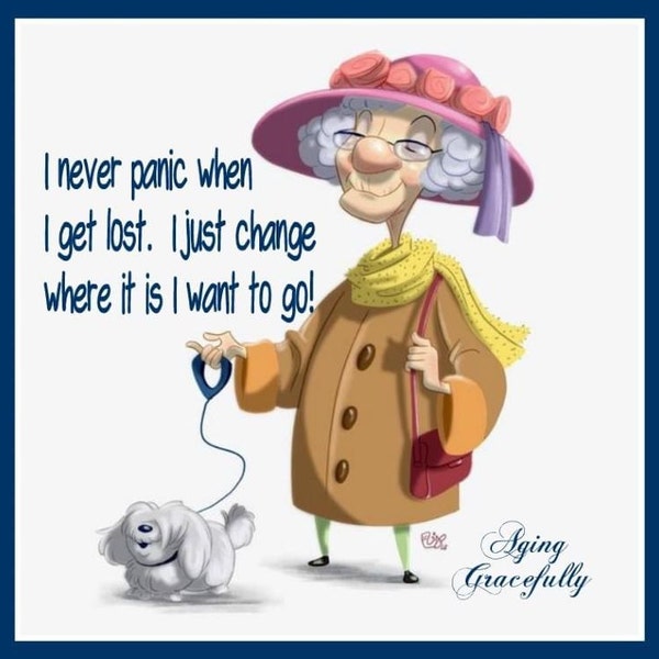 ZOO ANIMALS, Doodle Vector Icons. Wild Animal Doodle Icons Clipart. Set ...