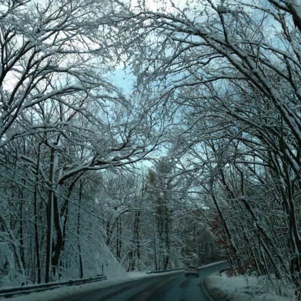 Abstract Spring Flowers, Digital Clip Art, Floral Clipart, Ink Drawing ...