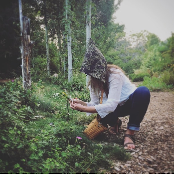 Lavender Quilting Calico, Shades of Lavender/purple, Distinct Floral, 2 ...