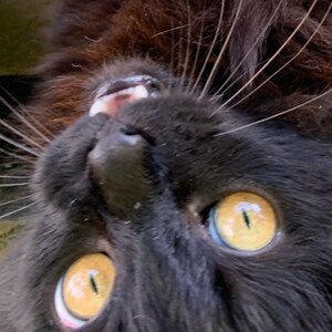 Neon RGB Animated Computer Cursor Pack, Perfect for Gamers & Creatives ...