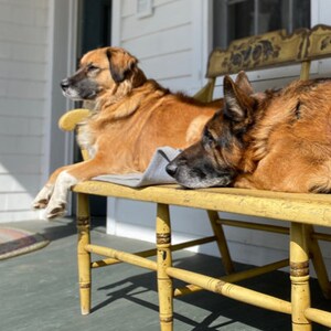 Edwardian 1920s Microbeaded Purse With Intricate Metal Basket Clasp - Etsy