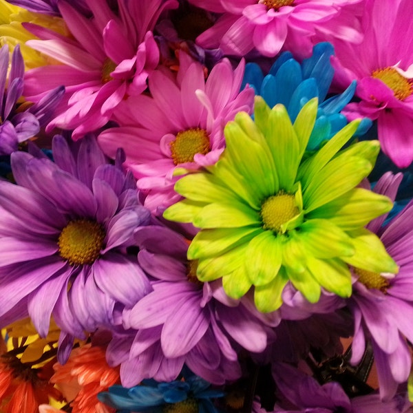 Printable Do Not Use Sign in US Letter and A4 Sizes, Instant Download ...