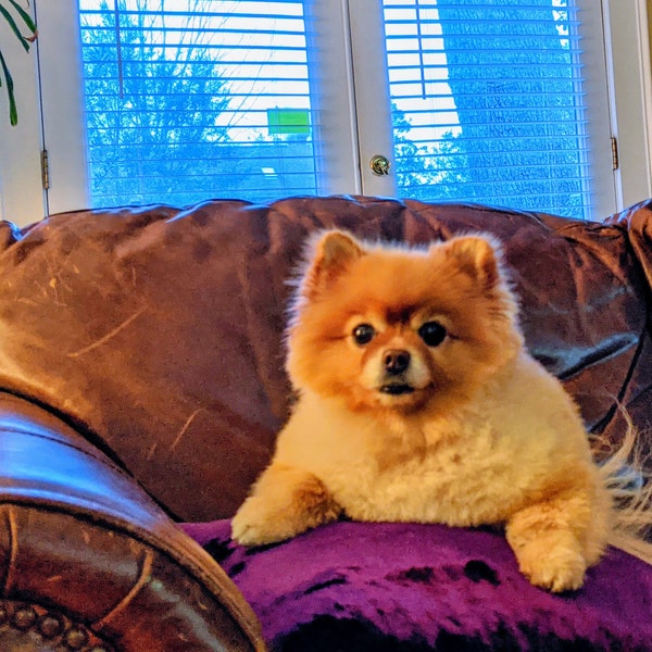 Bemberg Rayon Lining-bemberg Lining-rayon Fabric-rayon Lining-lining ...