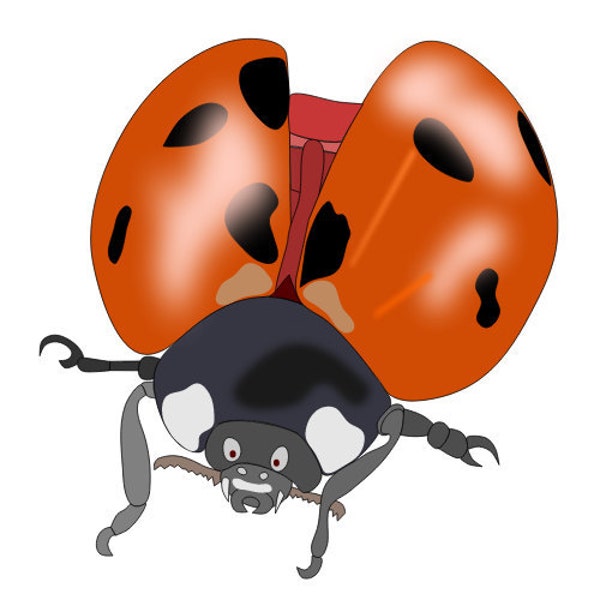 Fish Ruler Svg Fish Ruler Clipart Fish Svg Fish Clipart Fishing Svg ...