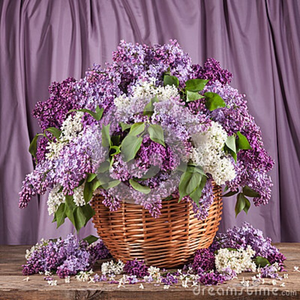 Thick Maple USB Flash Drive & Wood USB Box Set Custom Engraved USB ...