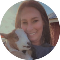 CombsteadFarm - Etsy