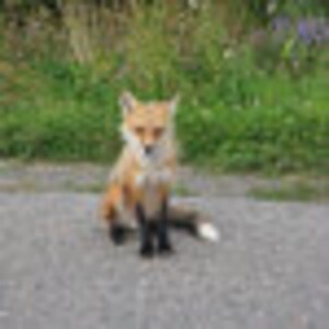 Printable Vintage Magic Roundabout FIVE Knitting Patterns Child and ...