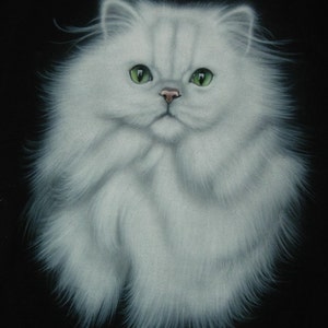 Not All Who Wander Are Lost Sea Turtle Hatchlings Novelty Front License ...