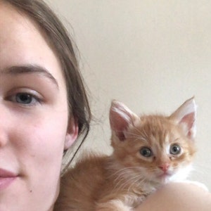 TB032 Clear Plants Sticker, Planner Decoration Sticker, ECLP, Erin ...