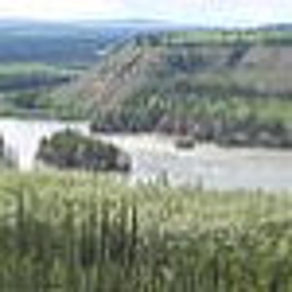 Summer Moon Quilt Pattern Book Block of the Month BOM Pattern Book ...