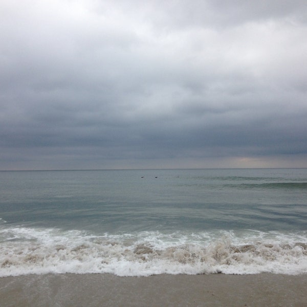 This is My Fish Tank Cleaning Shirt, Pet Fish, Fish Tank, Fish Lover ...