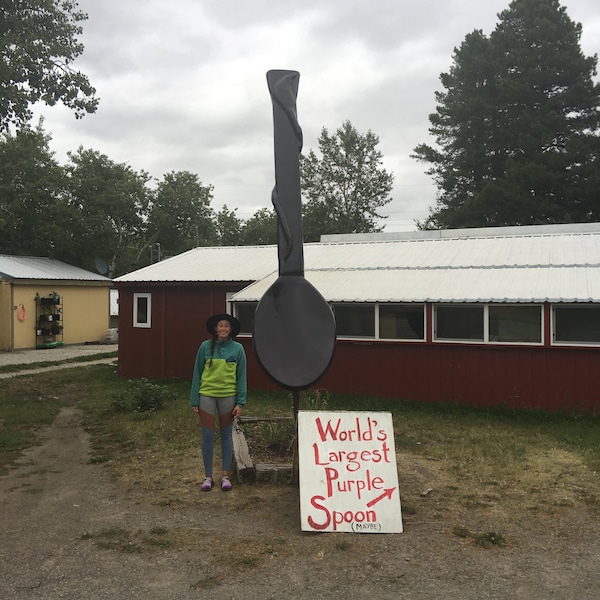 Miniature Jump Ribbon Display - Etsy