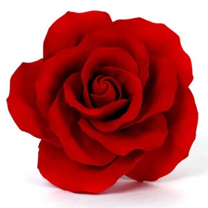 Daisy First Year Monthly Milestone Photo Banner, Daisy Pink Monthly ...