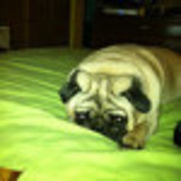 VHS Button Set - Etsy