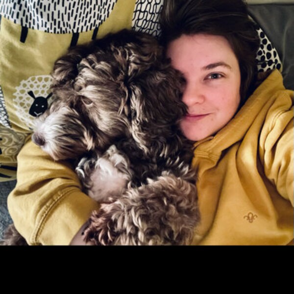 Choose Your Own Dog Breed Dog Wire Art Wire Words Shelf Decor Wall ...