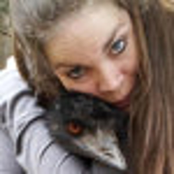 Instant Download PDF Sewing Pattern Sammy Zip Wallet - Etsy