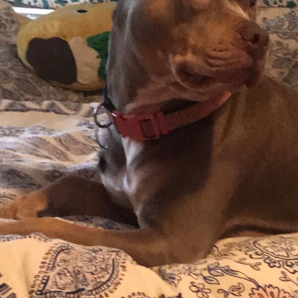 Hustle Vinyl Sticker Laptop Decal, Water Bottle Sticker, Bumper Sticker ...