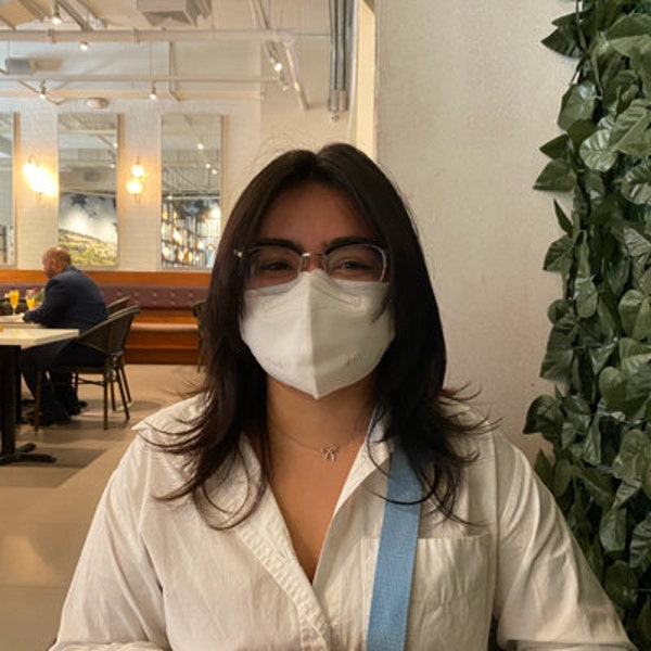 Enhypen En-dolls Animal Fanmade Plushie Jungwon Heeseung Jake Jay ...