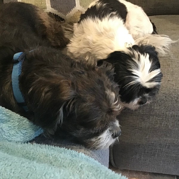 Deborah Red Pencil Pleated Button Back Vintage Dress Inspired From ...