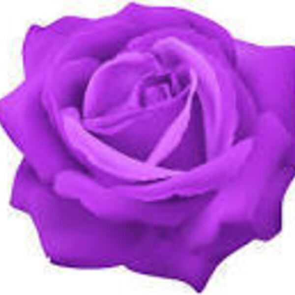 Vibrant Spiral Notebook Featuring Monarch Butterflies, Roses, and a ...