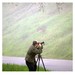 PhotosbyLen - Etsy