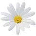 hegs - Etsy