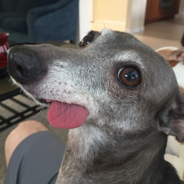 Cherry Bomb Red to Colorless Thermal Changing Nail Polish, Red Color ...