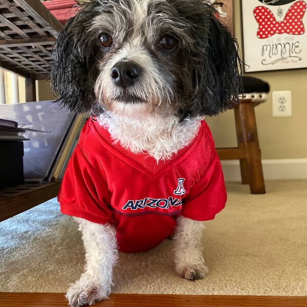 70 PCS Blue Orange Photo Collage Kit Room Décor Orange Teal Dorm Décor ...