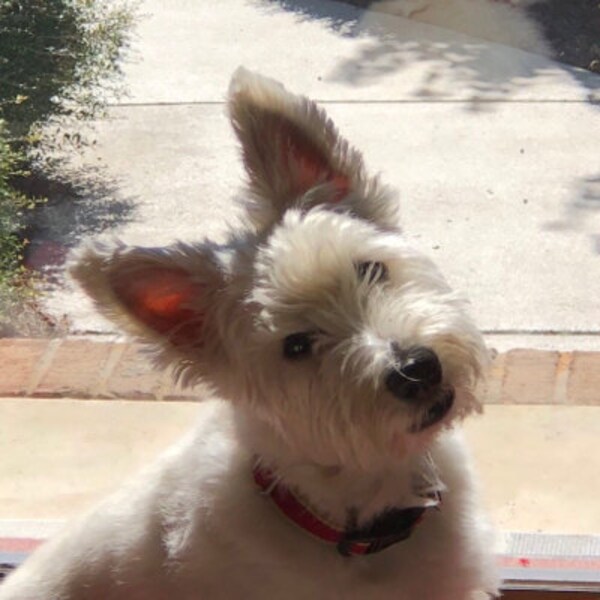 Believe Stacked Font Mirror Font, Sports Font, Cricut Font, Stacked ...