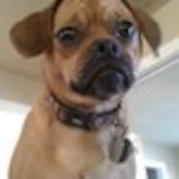 Pastel Aura Set of 2, Prints, Positive Pink Aura Poster, Gradient Aura ...