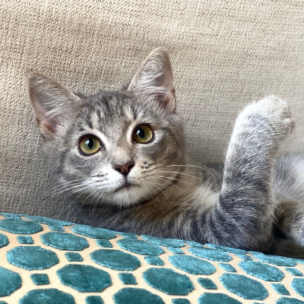 Vintage Otto Grunert Bird of Paradise Serving Bowl - Etsy