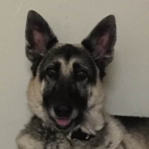 Understanding Procrastination Worksheets Task Avoidance Managing Time ...