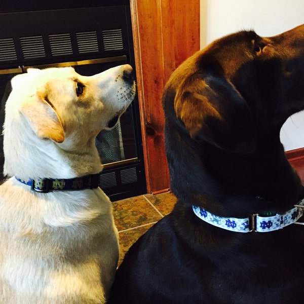 Printable Swim Team Photo Booth Props Swim Team Photobooth Olympics ...