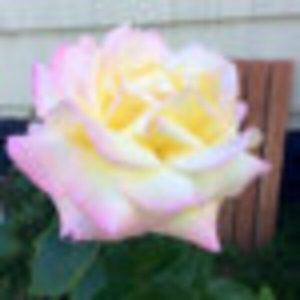 Pemi Loop New Hampshire, 4000 Footers Illustrated Print Map Hiking, New ...