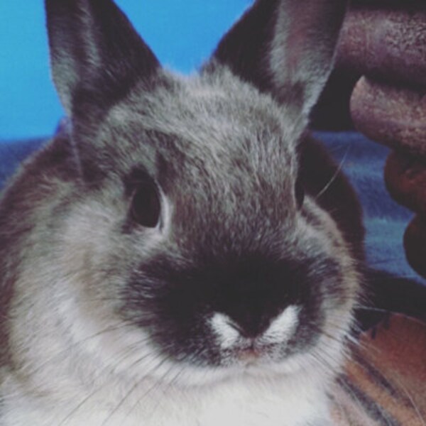 100 Procreate Sand Texture Brushes, Realistic Brushes for Procreate ...