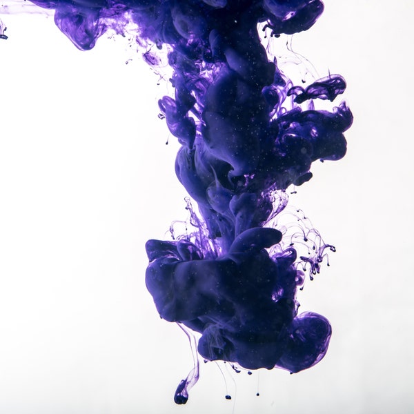 Welcome to the Jungle Custom LED Neon Sign Dimmable Neon Light up Sign ...