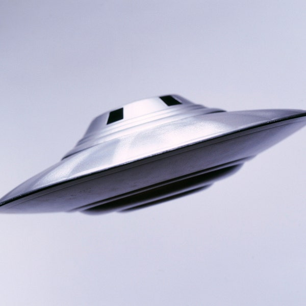 Elegant Navy and Blush Lace Wedding Program Template Programs Designs ...