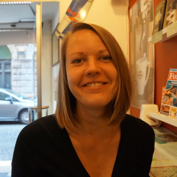 VelvetPonyDesign - Etsy