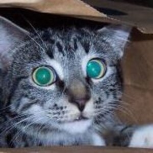 Area 51 Alien Challenge Coin Welcome to Dreamland 25 - Etsy