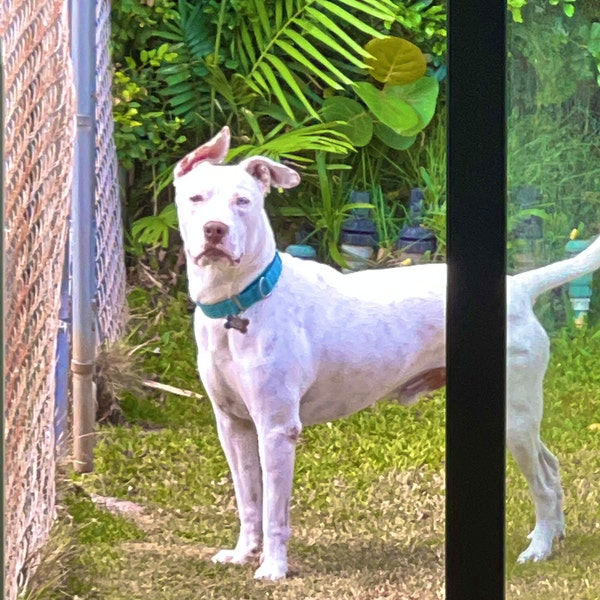 Y2k Back Print Streetwear Hoodie, Trendy Back Design Hoodie, Y2k ...